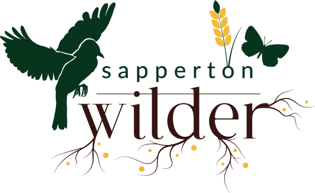 A Visit to Sapperton Wilder – Gloucestershire Naturalists' Society